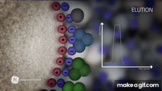 Principles of Ion Exchange Chromatography on Make a GIF