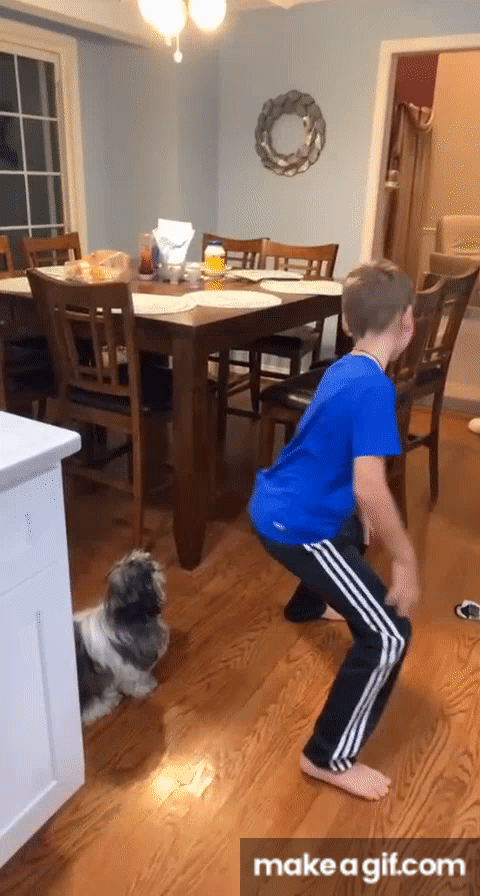 Eli soko on Make a GIF