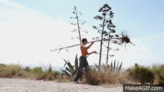 man throwing a tree on Make a GIF