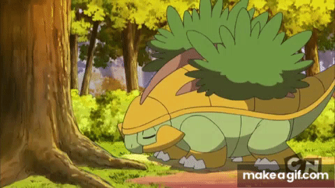 DP Sinnoh League Victors: Tangrowth vs. Grotle | Pokémon | Cartoon ...