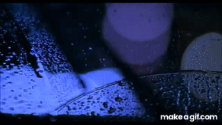 Fly Away Home (1996) - Opening Scene on Make a GIF