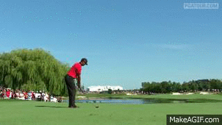 Tiger Knees on Make a GIF