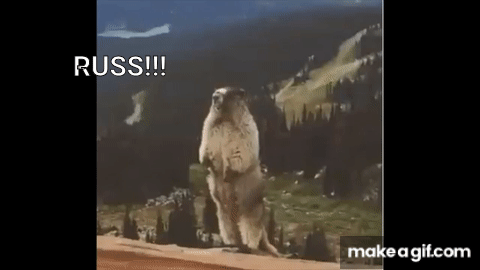 Groundhog Scream on Make a GIF