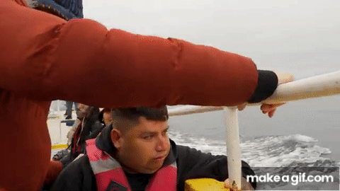 EL SECRETO FINAL🏖️ Capítulo 2 on Make a GIF