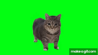 OIIAOIIA CAT but in 4K (Not Actually) on Make a GIF