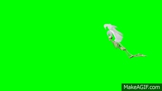 flying skeleton with moving wings - green screen effect on Make a GIF