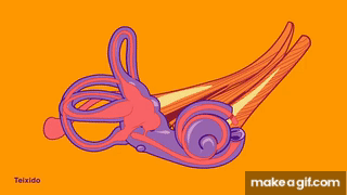 Vestibular Neuronitis on Make a GIF