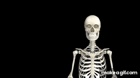 ANATOMY OF THE CLAVICLE (COLLARBONE) on Make a GIF