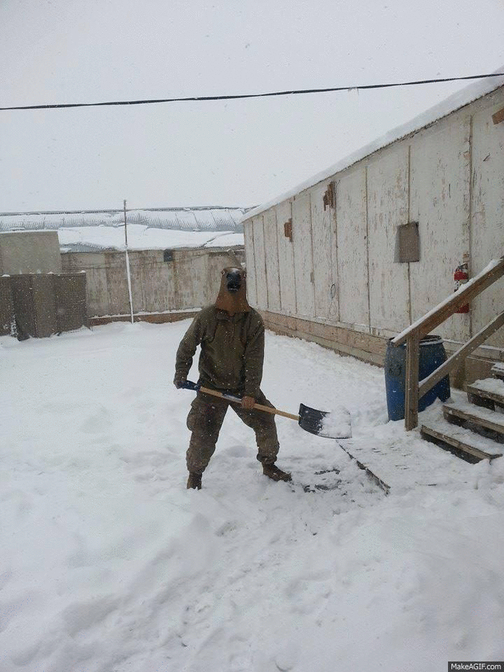 Army Snow Horse on Make a GIF