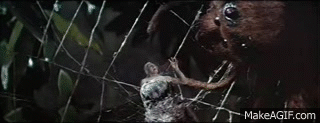 The Fly (1958) on Make a GIF