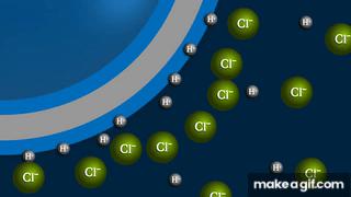 Potentiometrische pH-Messung on Make a GIF