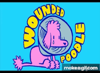 DFLC: Wounded Poodle/Joe vs. Joe/Refuge Inc./Brian Graden Media (2026 ...