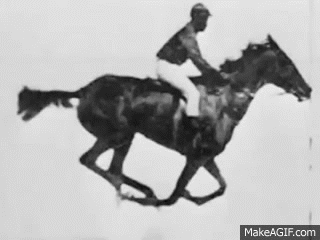 Race Horse First video Ever 1878 Not Fist Film on Make a GIF