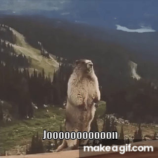 Screaming Marmot on Make a GIF