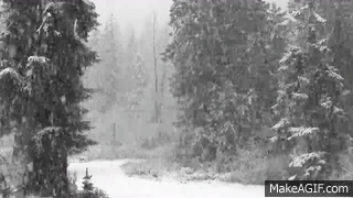 Fast Falling Snow 1080p Hd Without Music - 4 hours on Make a GIF