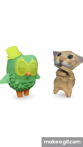 Cat and @Duolingo dancing LOL ... on Make a GIF