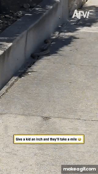 Give a kid an inch and they'll take a mile 😅 on Make a GIF