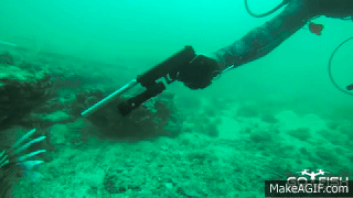 Glock-Fishing Underwater | 9mm Handgun Shooting Lionfish on Make a GIF