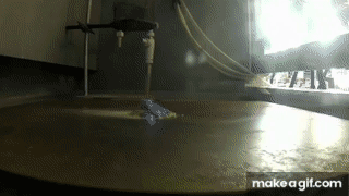 Zinc and Sulfur on Make a GIF