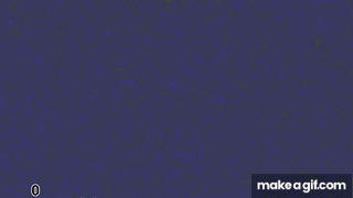 Klasky Csupo G Major Collection Part 1 (0-100) in G Major Collection (X ...