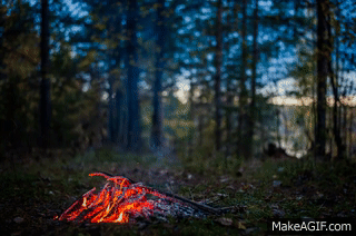 burning fire timelapse on Make a GIF