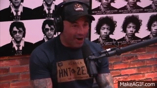 Joe Rogan Experience #747 - Tony Hinchcliffe on Make a GIF