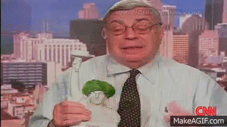 Chia pet Obama style on Make a GIF