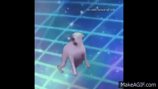 DANCE TILL YOU'RE DEAD on Make a GIF