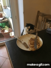 _pRuOT is an Animated GIF Image on Make a GIF