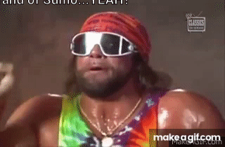 Sumo Savage on Make a GIF