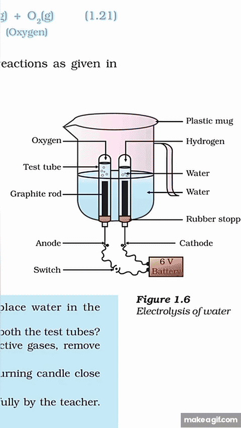 Electrolysis of Water at Home 🤯 Class 10 Chemistry Experiments 🔥 ...