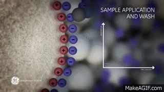 Xchange Gifs Xchange Gif