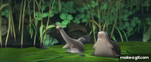 Mub gets hit and knocked in the water on Make a GIF