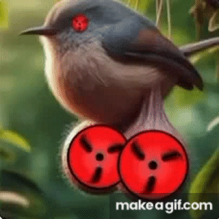 funny on Make a GIF