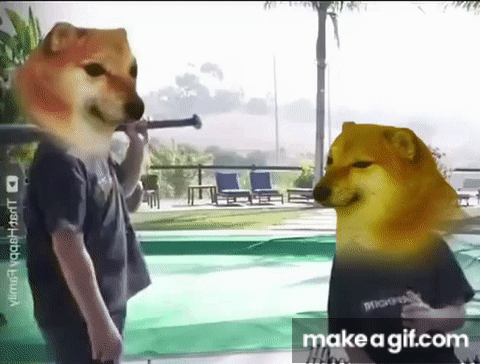 bonk on Make a GIF