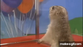 Dramatic Chipmunk 4K on Make a GIF