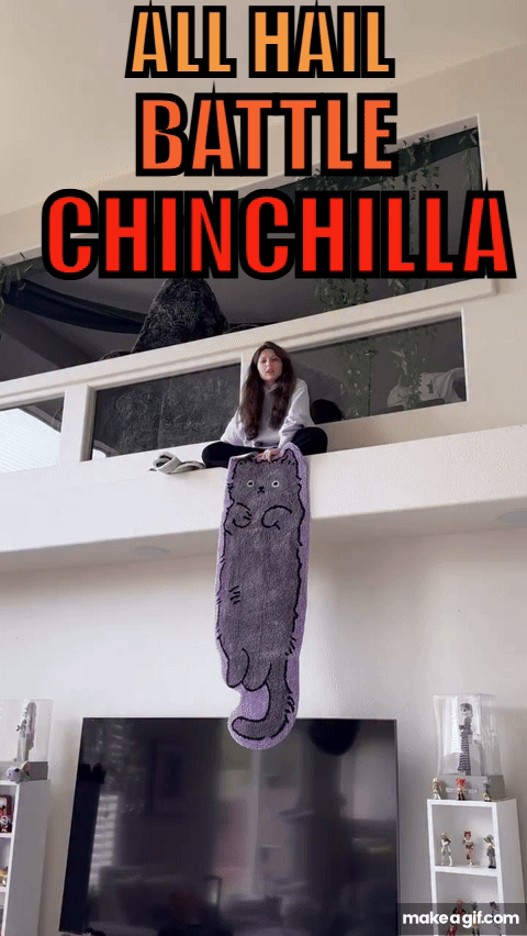 ALL HAIL BATTLE CHINCHILLA on Make a GIF