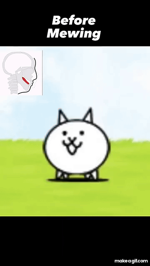The Mewing Cats on Make a GIF