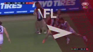 Afl 2015 Round 19 St Kilda V Fremantle 1st Half 1 on Make a GIF