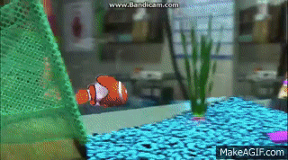 Finding Nemo Swim Down Scene Part 1 on Make a GIF