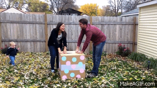 Gender Reveal Party Fail on Make a GIF