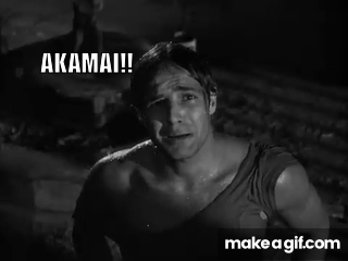 A Streetcar Named Desire (1951) - Stella! Scene | Movieclips on Make a GIF