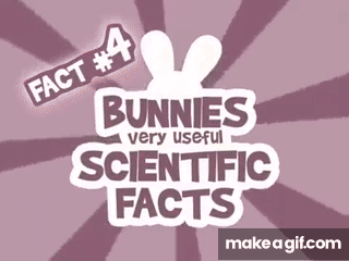 Raving Rabbids 70% Complete Collection but they can dance ! on Make a GIF