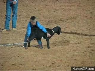 Juanita Jean's | Yee (and I can’t stress this enough) Haw!