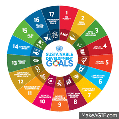 SDG on Make a GIF