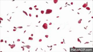 falling rose petals on Make a GIF