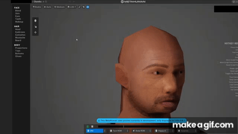 How to Create your Own Metahuman for Unreal Engine 5 Tutorial on Make a GIF