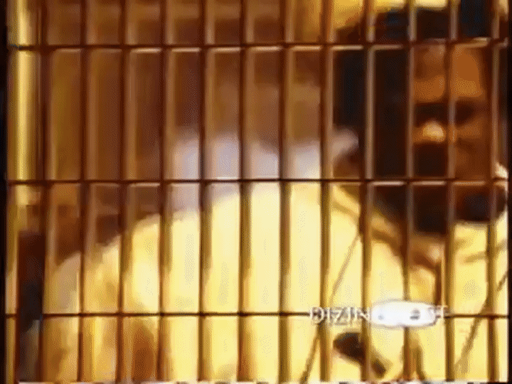 Leaders Of The New School T.I.M.E. (video) Time Will Tell on Make a GIF