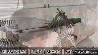 How to Make a Gravity Puzzle (Brain Game) on Make a GIF