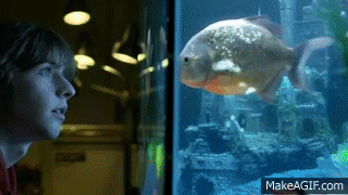 The Chemical Brothers - The Salmon Dance on Make a GIF
